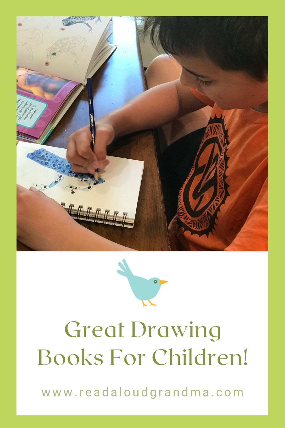 Great Drawing Books For Children That Make Great Gifts!
