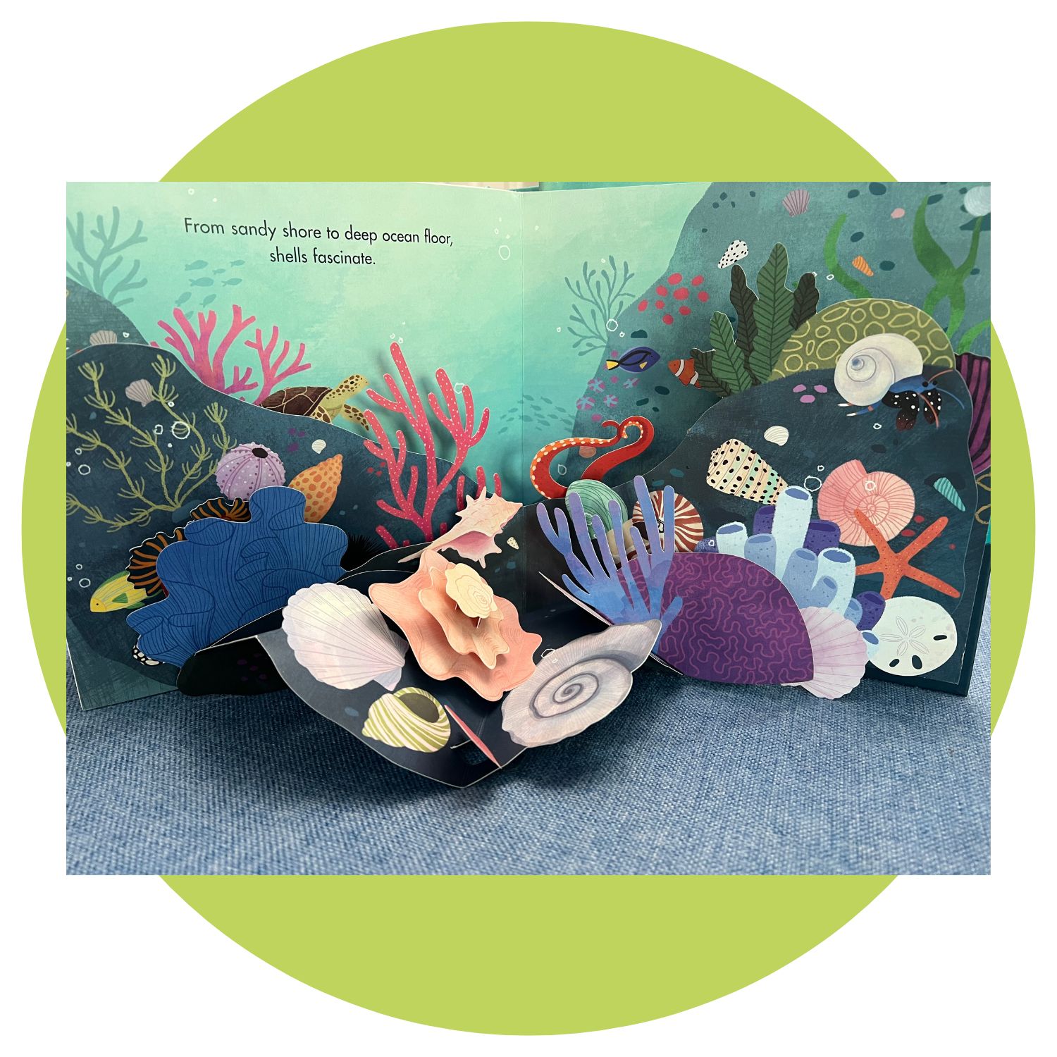 Pop-Up Books Are Fun Gifts